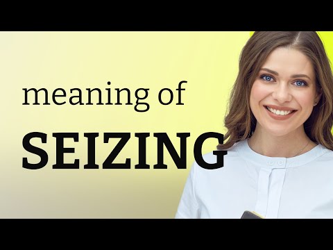 Seizing • SEIZING definition