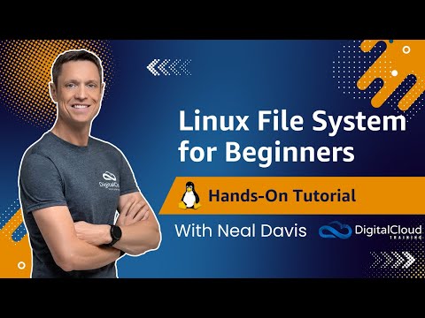Linux File System for Beginners – Hands-On Tutorial