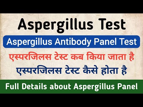 Aspergillus Antibody Panel Test in hindi | Aspergillus Symptoms & Cost