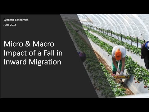 Synoptic Short: Falling Labour Migration