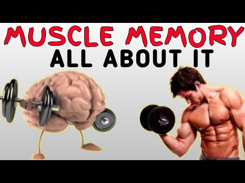 Science Of Muscle Memory Explained | HINDI