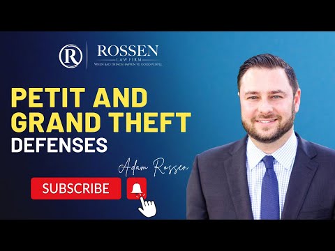 Defending Theft Cases in Florida: Best Strategies and Expert Advice from a Criminal Defense Attorney