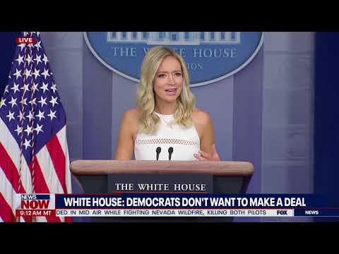 FACT CHECK THE MEDIA: Kayleigh McEnany UNLOADS On Media ATTACKING President Trump