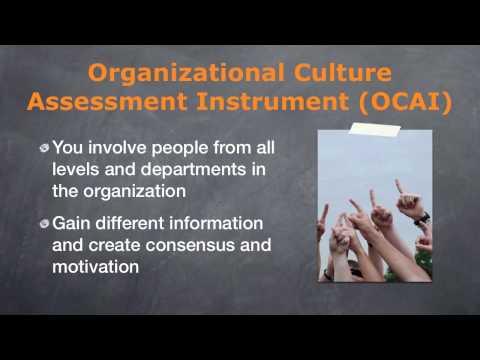 Organizational Culture Assessment Instrument: its features