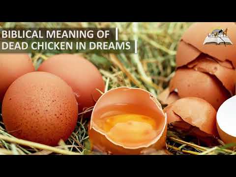 Biblical Meaning of DEAD CHICKEN (Rooster) in Dreams - Dead Chicken Symbolism