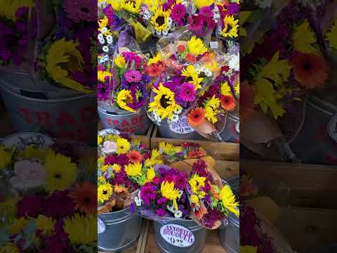Trader Joe's Flowers 💐 #flowers #flower #shopping #shortsviral