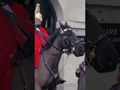 The Kings guard shouts hands off the Reins #horseguardsparade