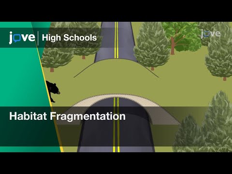 Habitat Fragmentation | Bio | Video Textbooks - Preview