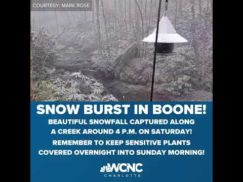 #shorts #shortsvideo: Snowburst in Boone, North Carolina