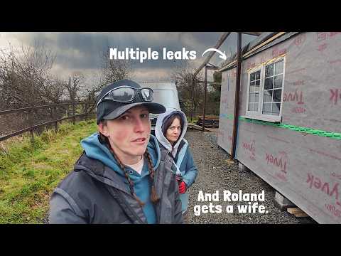 Unwanted guests at our remote home in Ireland (off grid cabin build)