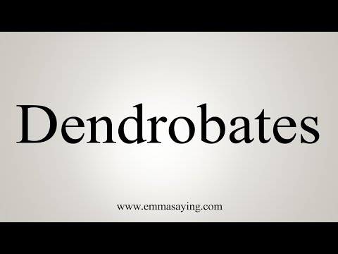 How To Say Dendrobates