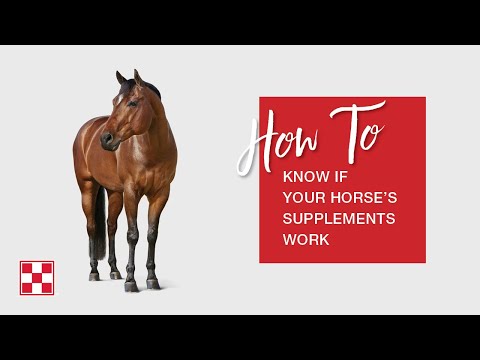 How to Take Horse Supplements for a Test RIDE
