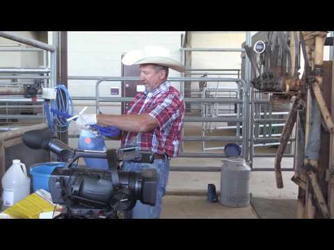 Bruce Carpenter - Cattle Reproduction - Preparing a CIDR