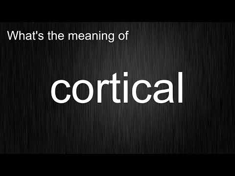 What's the meaning of "cortical", How to pronounce cortical?