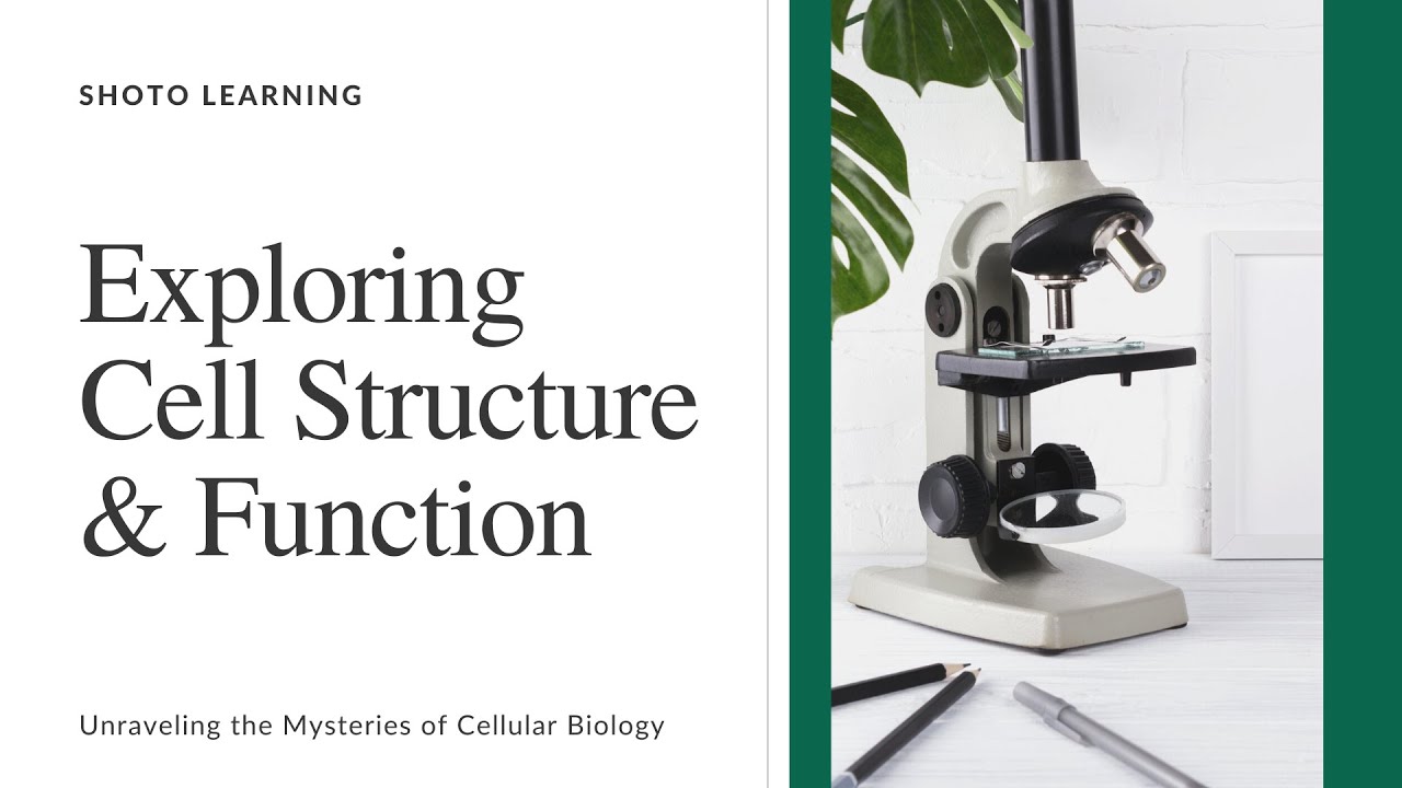 Exploring Cell Structure & Function: A Comprehensive PowerPoint Presentation