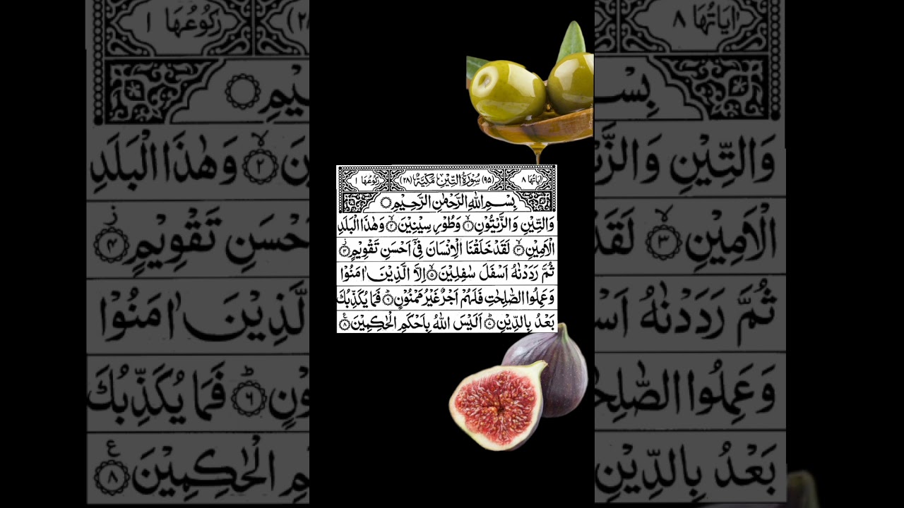 Surah At Tin beautiful recitation