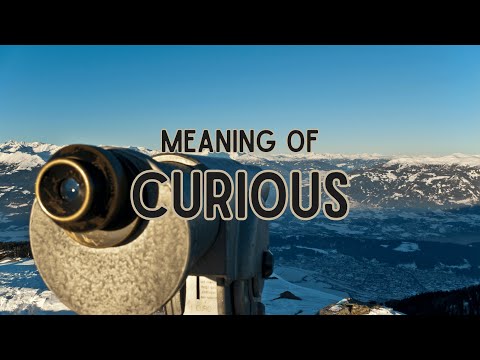 What is the meaning of Curious?