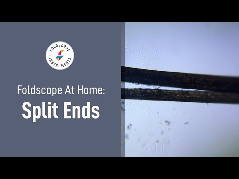 Foldscope at Home: Split Ends