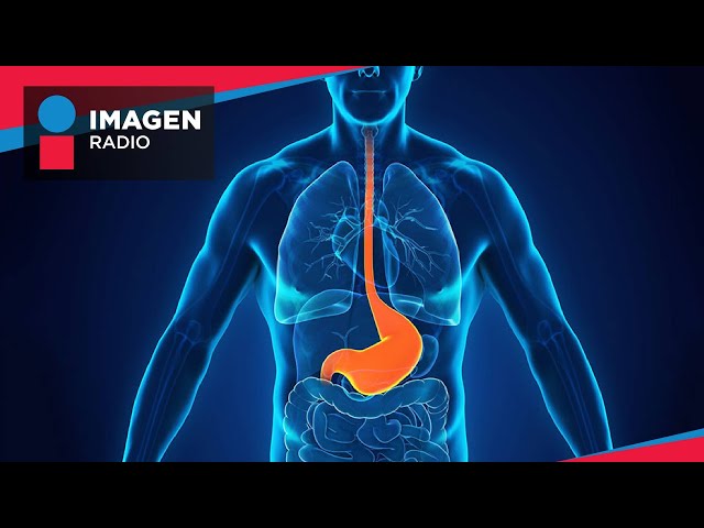 Enfermedad por reflujo: síntomas y tratamiento | IMAGEN RADIO
