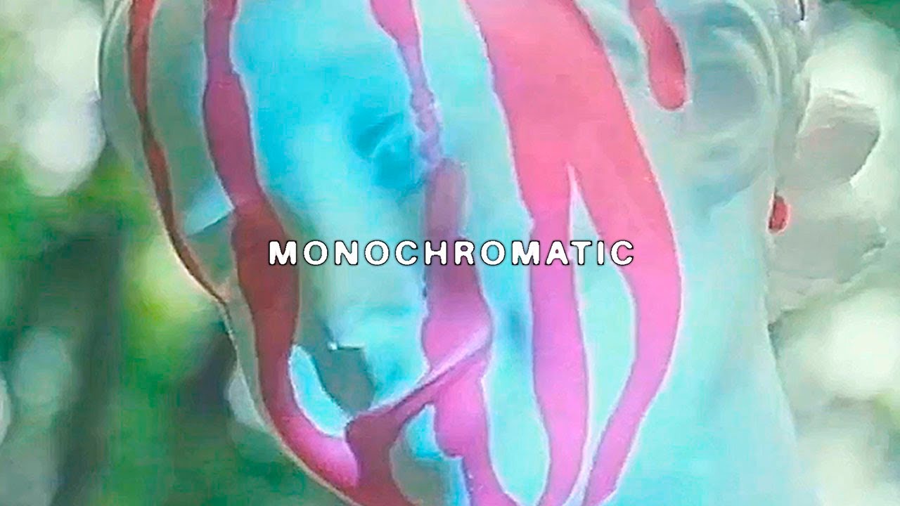 $UICIDEBOY$ - Monochromatic (Lyric Video)
