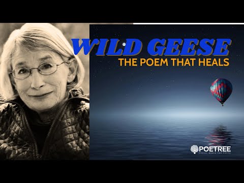 Mary Oliver's 'Wild Geese': The Poem That Will Change How You See Yourself | Poetry Analysis
