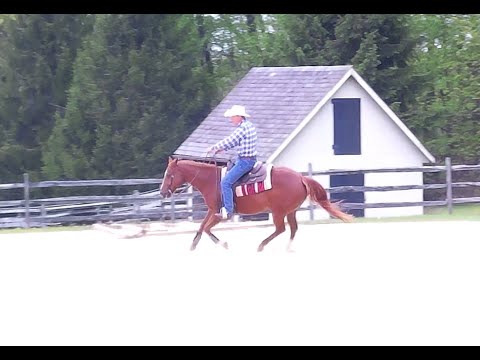 Don't Give Up the Gallop - Episode 22 (Herm Gailey)