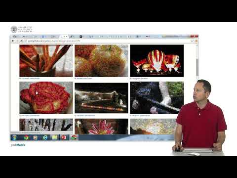 8.10 Other Sources to Search for Images | 89/97 | UPV