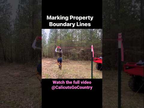 A MUST for Landowners! 🤠🚜🌲#survey #boundary #shorts #Trails #Land #Disputes #Trespassers #funny