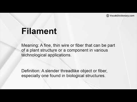Filament Meaning