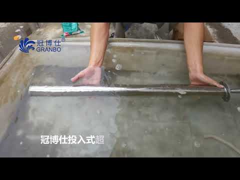 Granbosonic Immersible Ultrasonic Cleaner Rod