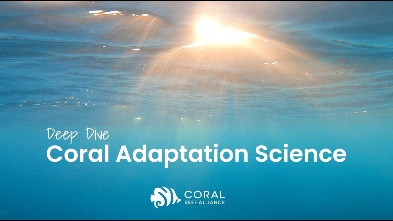 Coral Adaptation Science Introduction - Part 1