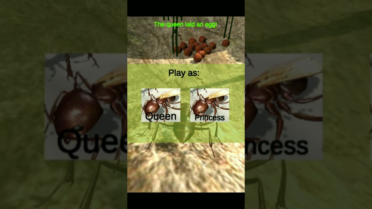 ANT FULL HD.!!ant simulation