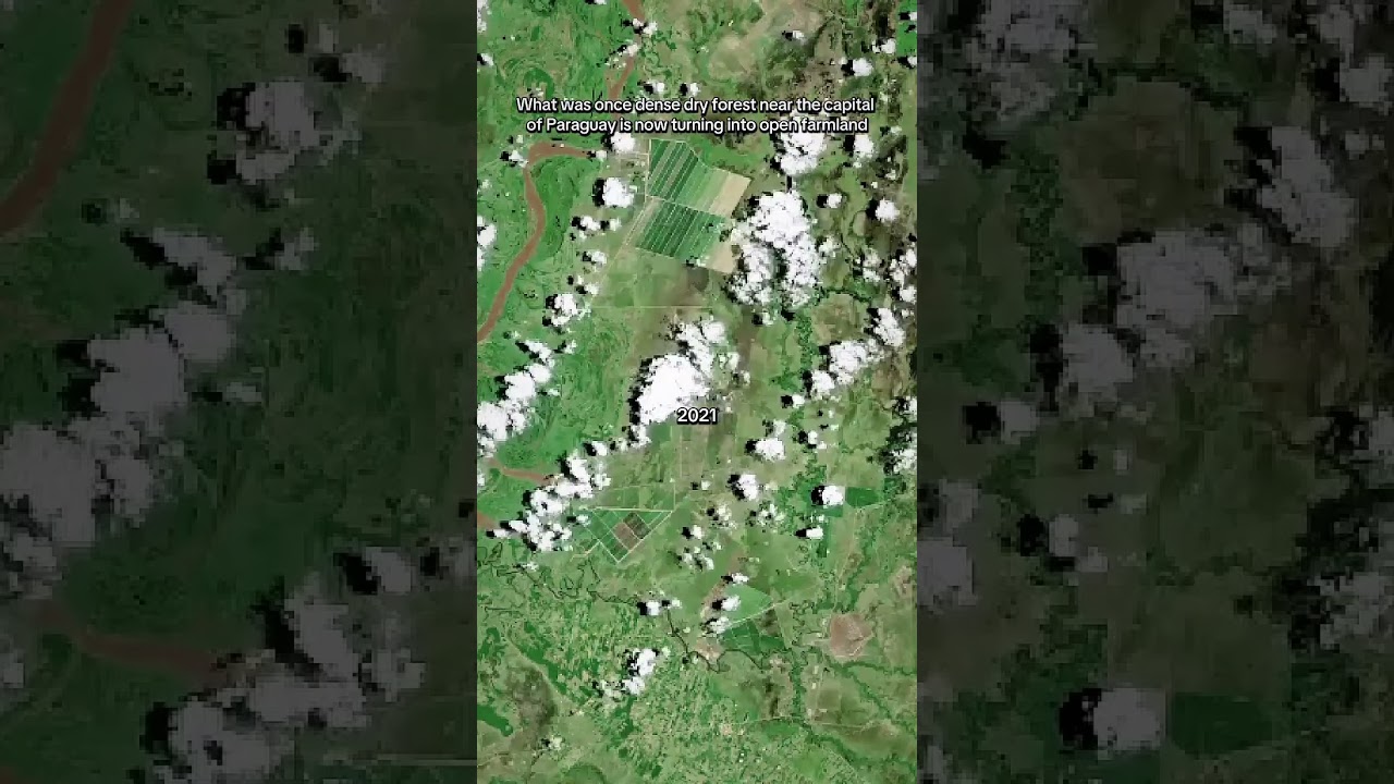 Paraguay’s Gran Chaco near Asuncion, is undergoing one of the world’s fastest deforestation rates.