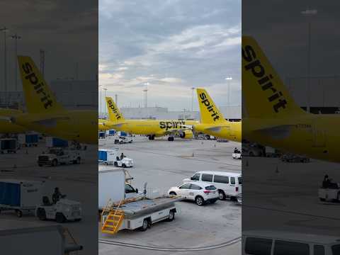 Flying Spirit be like …. | From Fort Lauderdale–Hollywood International Airport, Florida