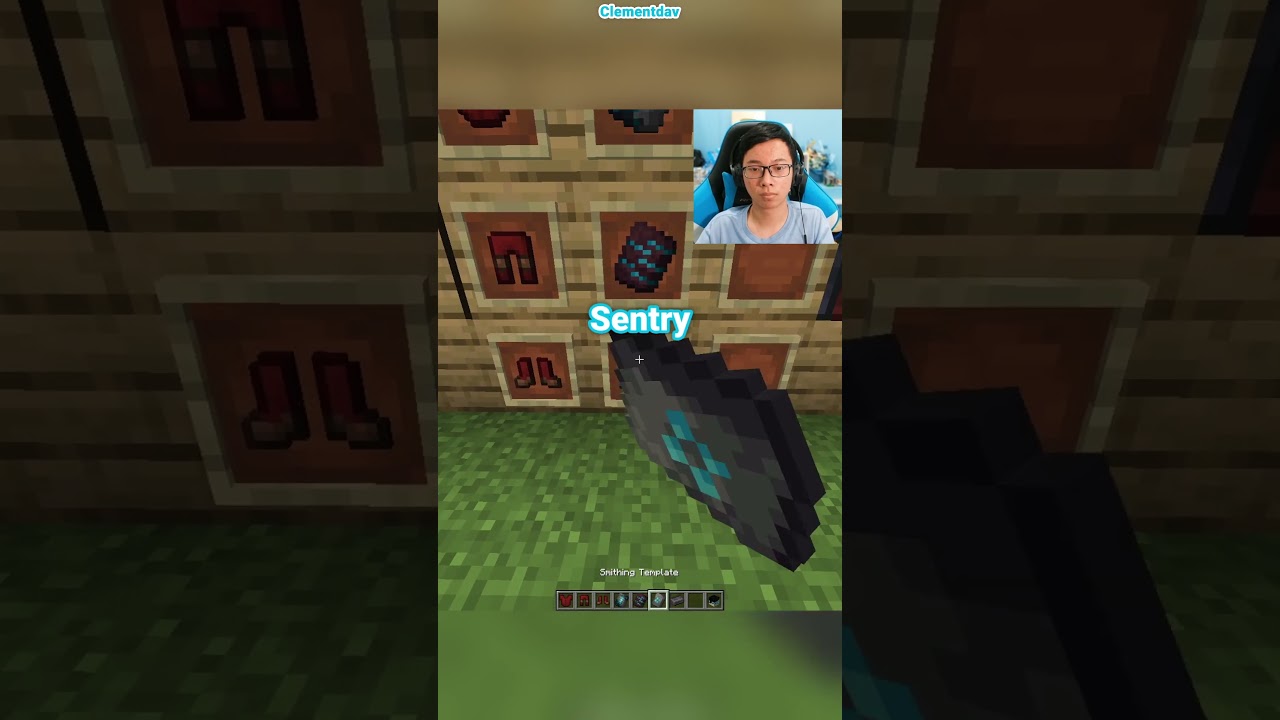 Minecraft Deadpool Armor Trim (Bye Bye Bye)