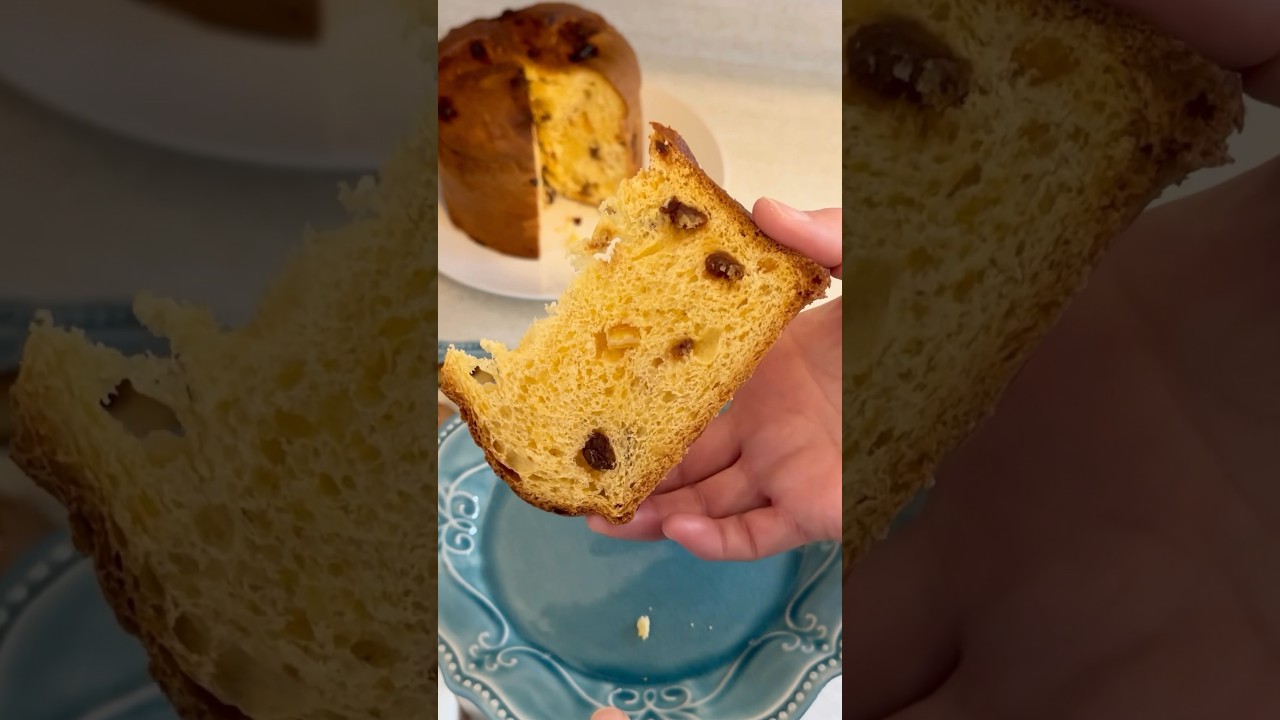 Panettone for Breakfast #italy #unboxing #traderjoes