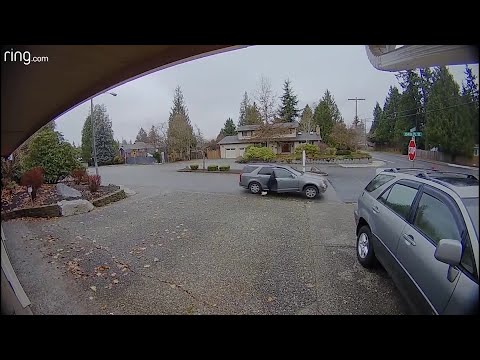Ring Doorbell video