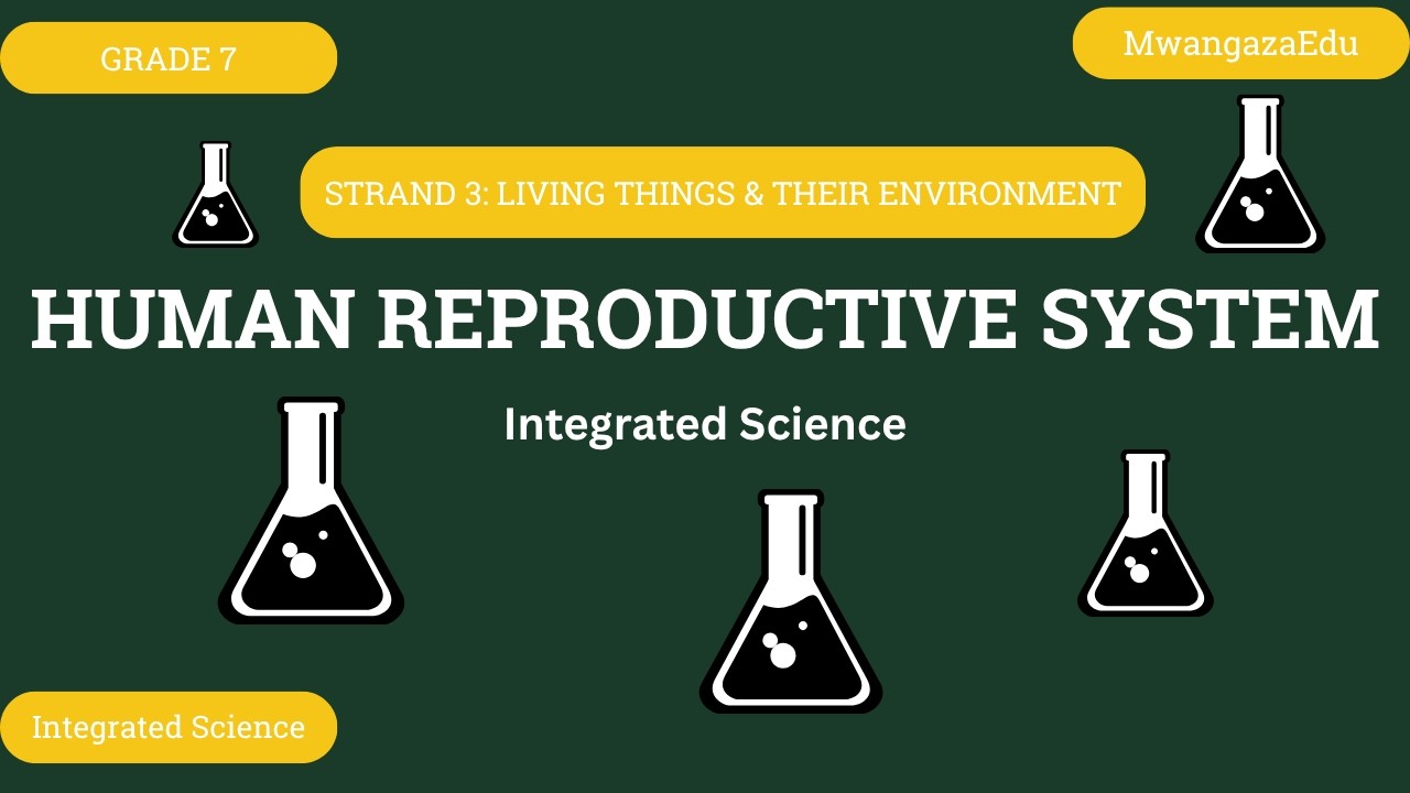 Your Amazing Changing Body: Adolescence and the Reproductive System | Grade 7 Integrated Science CBC