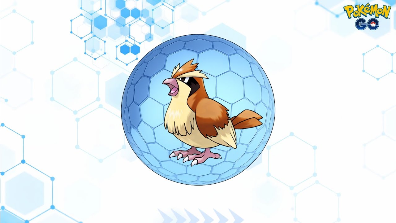 Pidgey Evolution Line || Pokemon Go