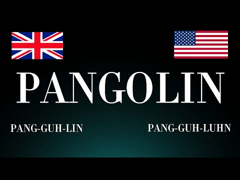 How to Pronounce 'Pangolin' Correctly: UK vs USA (Animal Pronunciation)