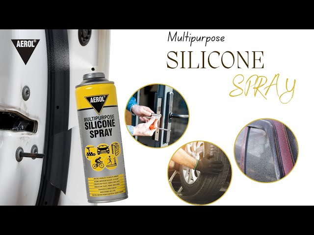 Maintenance Products - Lubricants - Aerol Moly Spray, Grade 2010 (300g ...