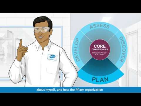 Pfizer Career Planning Process