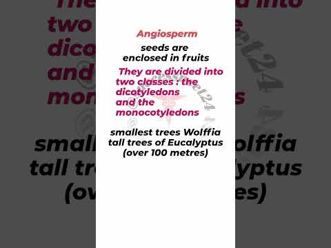 What is example of an angiosperm?part 18/short video