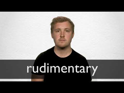 RUDIMENTARY の定義と意味｜Collins英語辞典