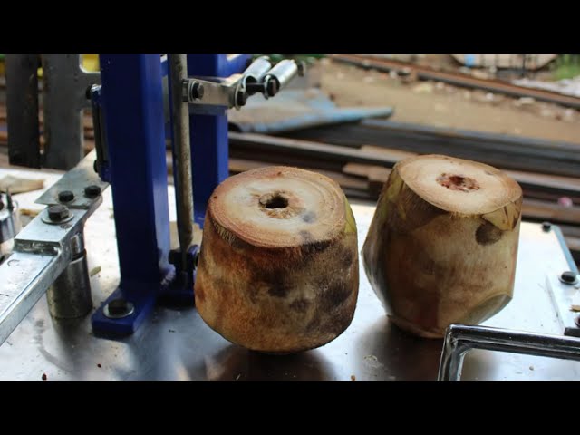 Coconut Cutting Machine - Tender Coconut Punching Machine Manufacturer ...