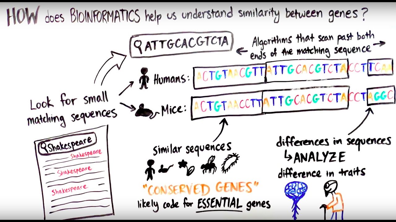 Apa itu Bioinformatika?