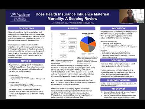 How Does Health Insurance Influence Maternal Mortality: A Scoping Review