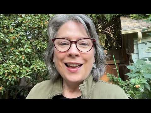 Sweet Osmanthus Tree: Barb Talks