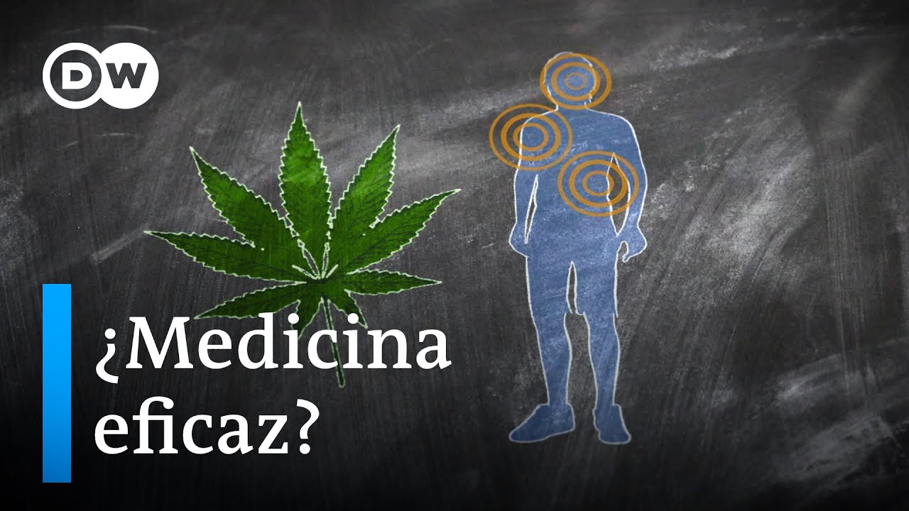 Cannabis, a controversial drug | DW In shape