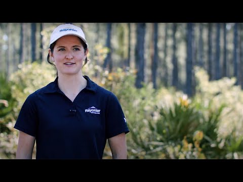 What is a Forest Biometrician? Meet Stephanie Patton